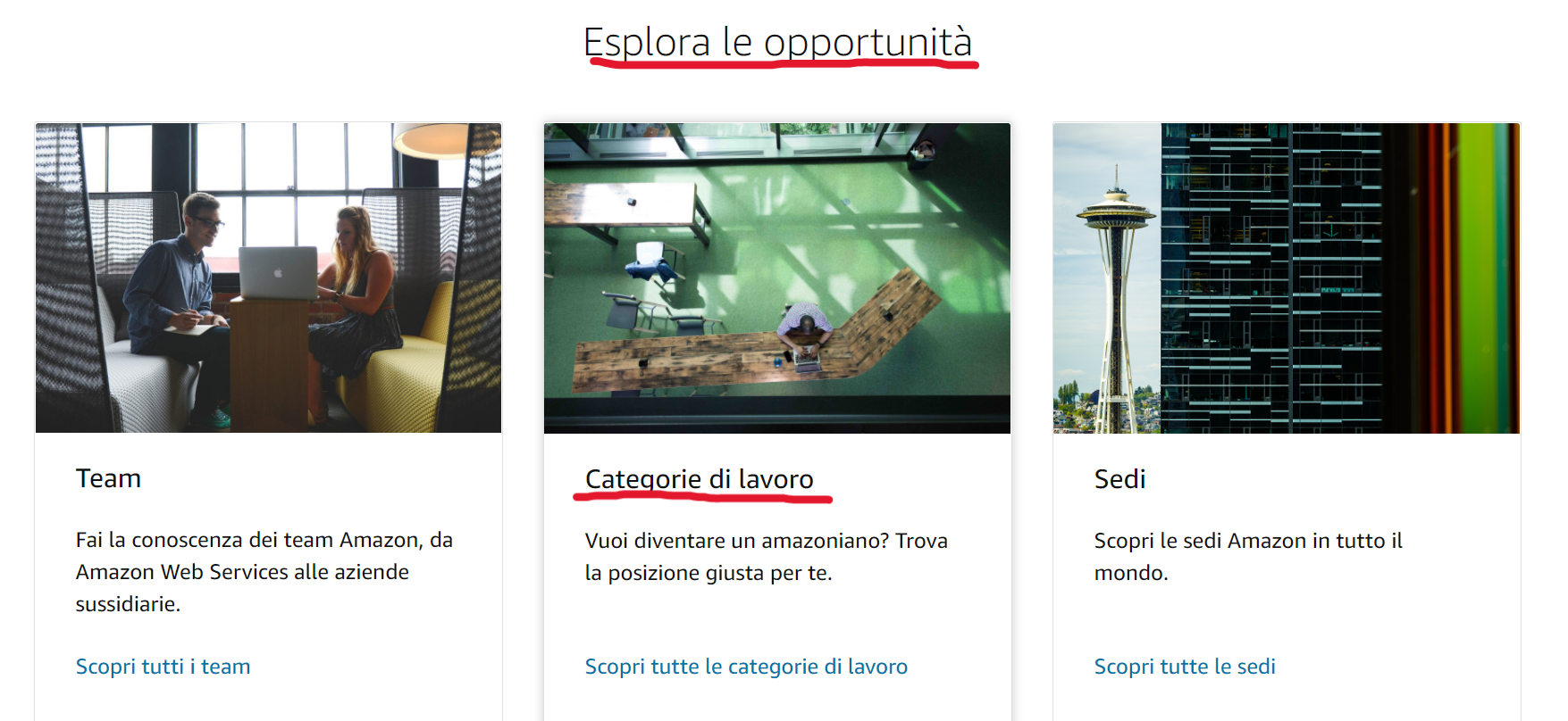 Come lavoro con Amazon 【 2025